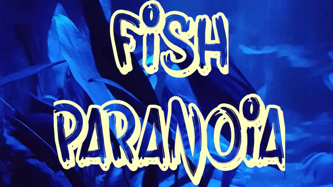 FISH PARANOIA! - YouTube