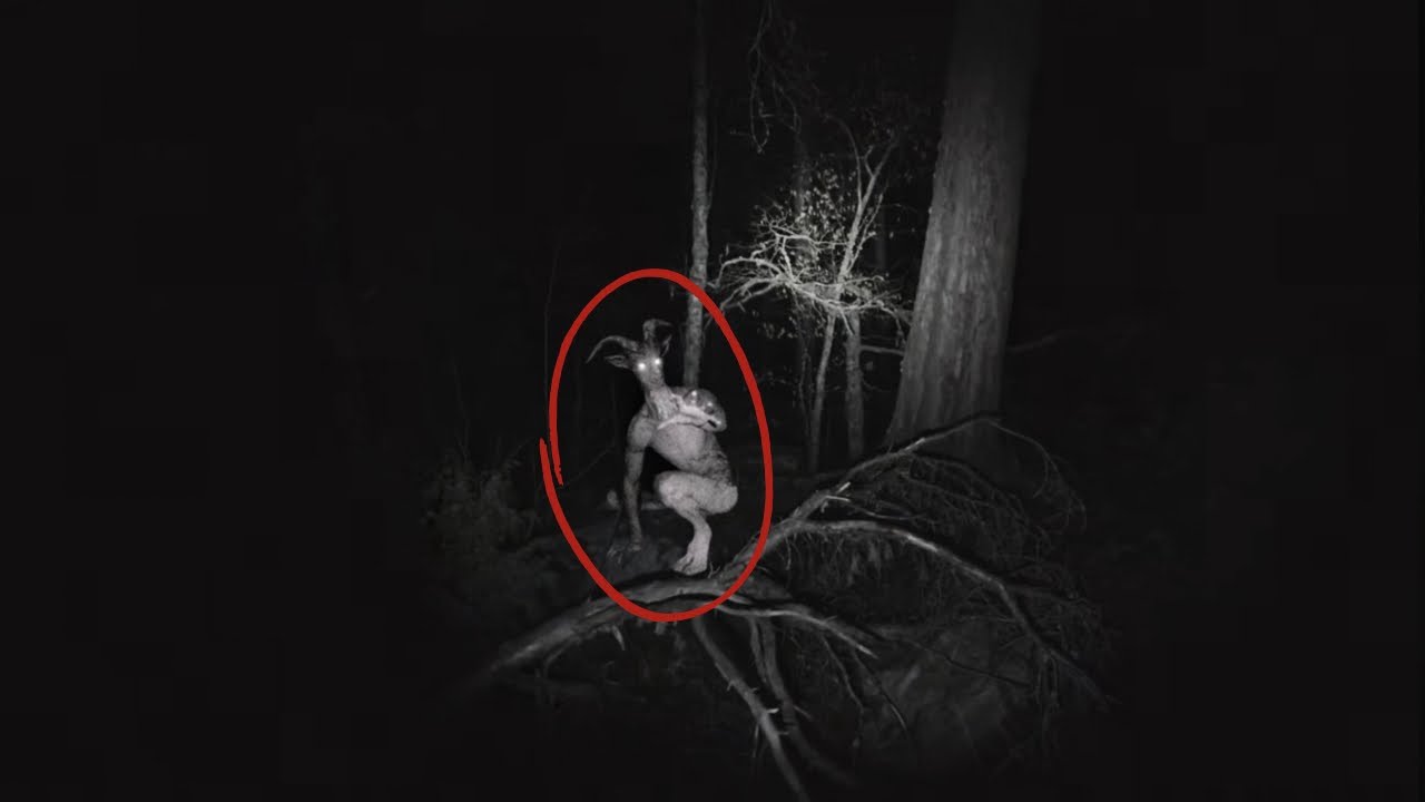 10 Most DISTURBING Cryptid Encounters Caught on Camera - YouTube