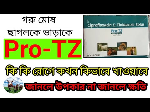 কি কি রোগে খাওয়াবেন Pro-TZ Bolus vet|Ciprofloxacin & Tinidazole Bolus uses benifits Side-effects