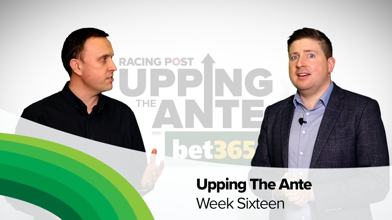 Upping The Ante | Cheltenham Festival 2020 Preview | Episode 16 - YouTube