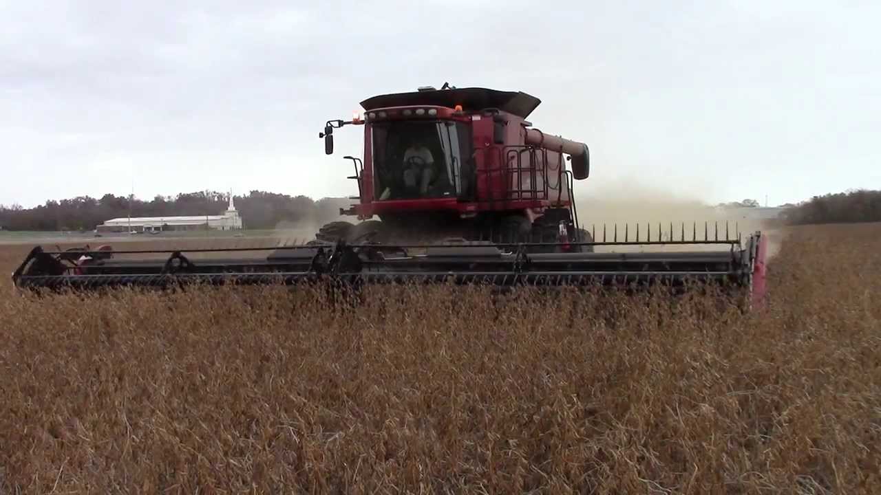 Combines Harvesting Soybeans - YouTube