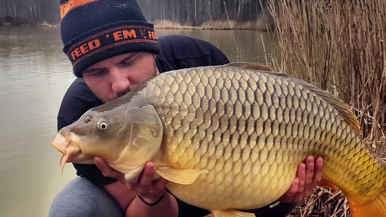 Bel Eaux - Belforet Mars 2018 ( Carp Fishing Romania ) - YouTube