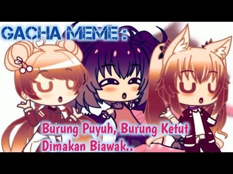 Gacha Meme: Burung Puyuh Burung Ketut Dimakan Biawak (Markonah Tiktok ...