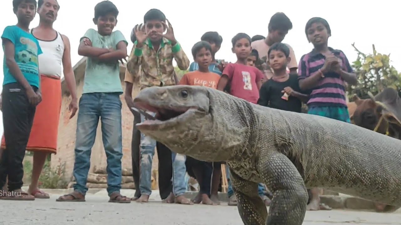 जब गांव में निकला काला जानवर सब लोग भयभीत हो गए #Indian #Monitor # ...