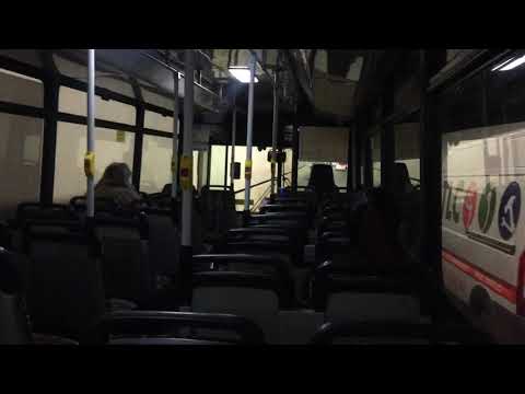 [Sydney Buses] Hillsbus Mercedes-Benz O405 Custom Coaches 510 (Part 2 ...