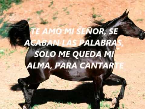 Hay Momentos Pista Danilo Montero - YouTube