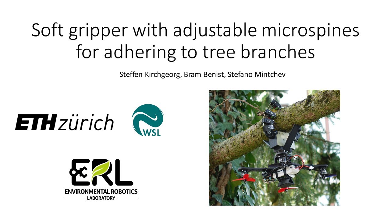 Soft gripper with adjustable microspines for adhering to tree branches ...