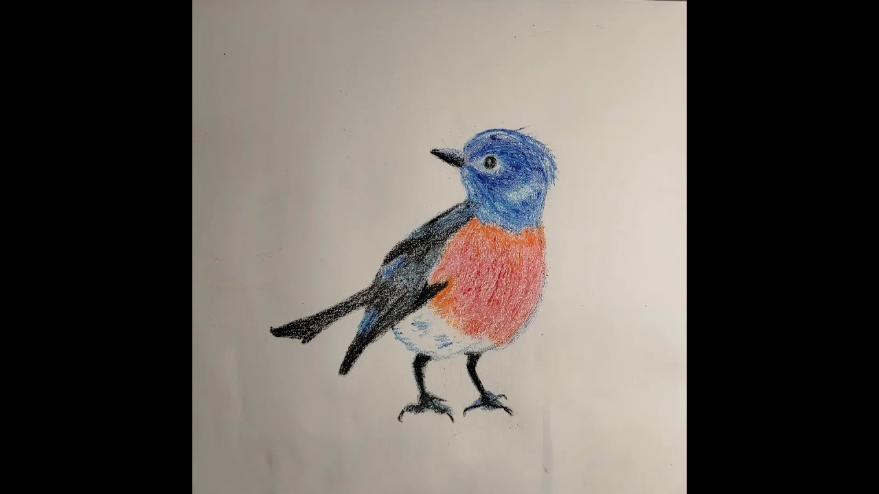 Bird panting with crayon - YouTube