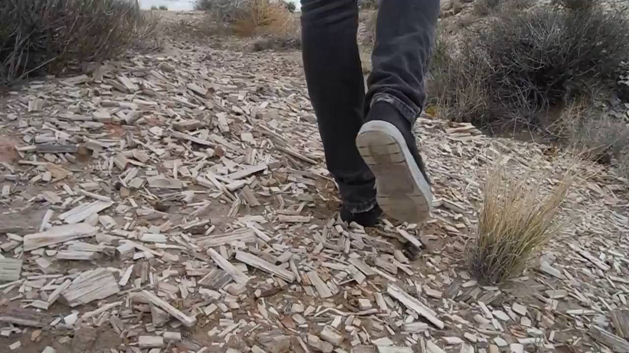 Petrified wood mounds in northeast Arizona - YouTube