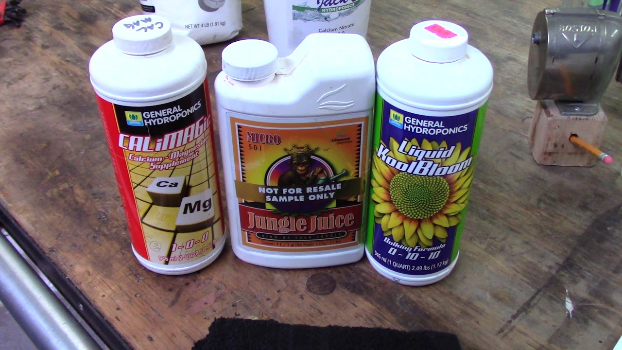 Orchids...........nutrients, quick mix up - YouTube