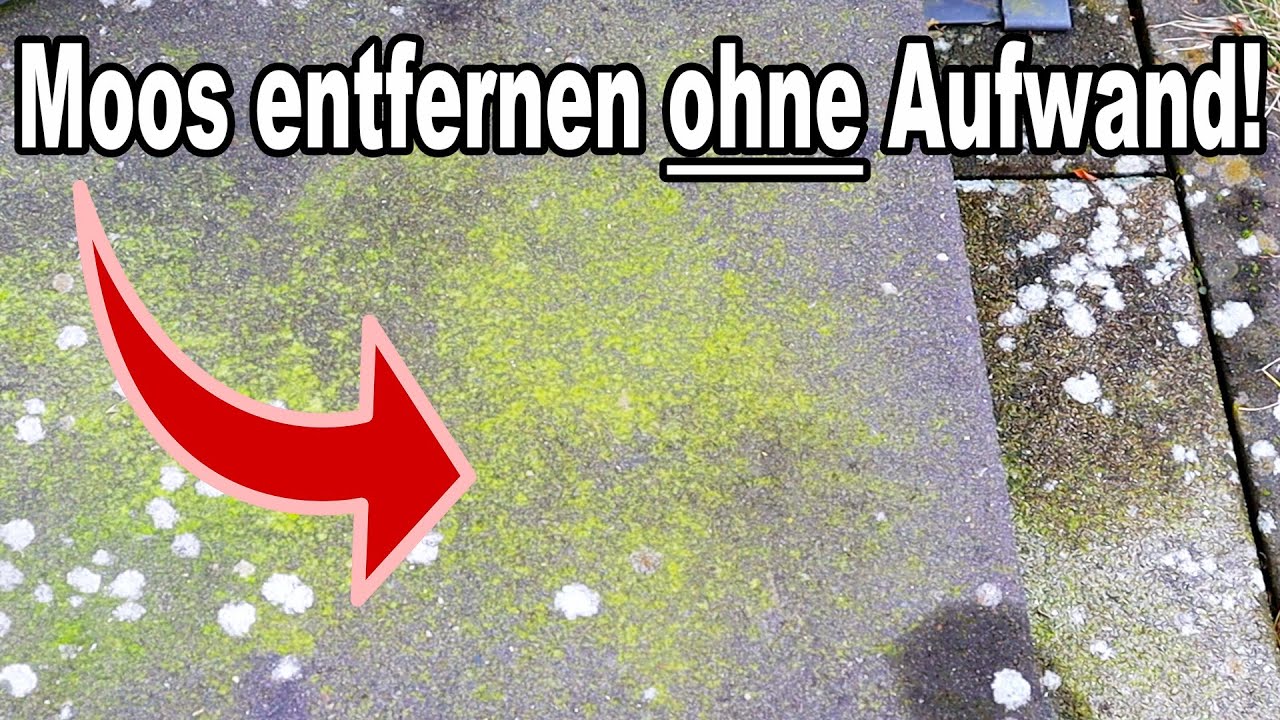 Wie du Moos ganz einfach & schnell von deiner Terrasse entfernen kannst ...