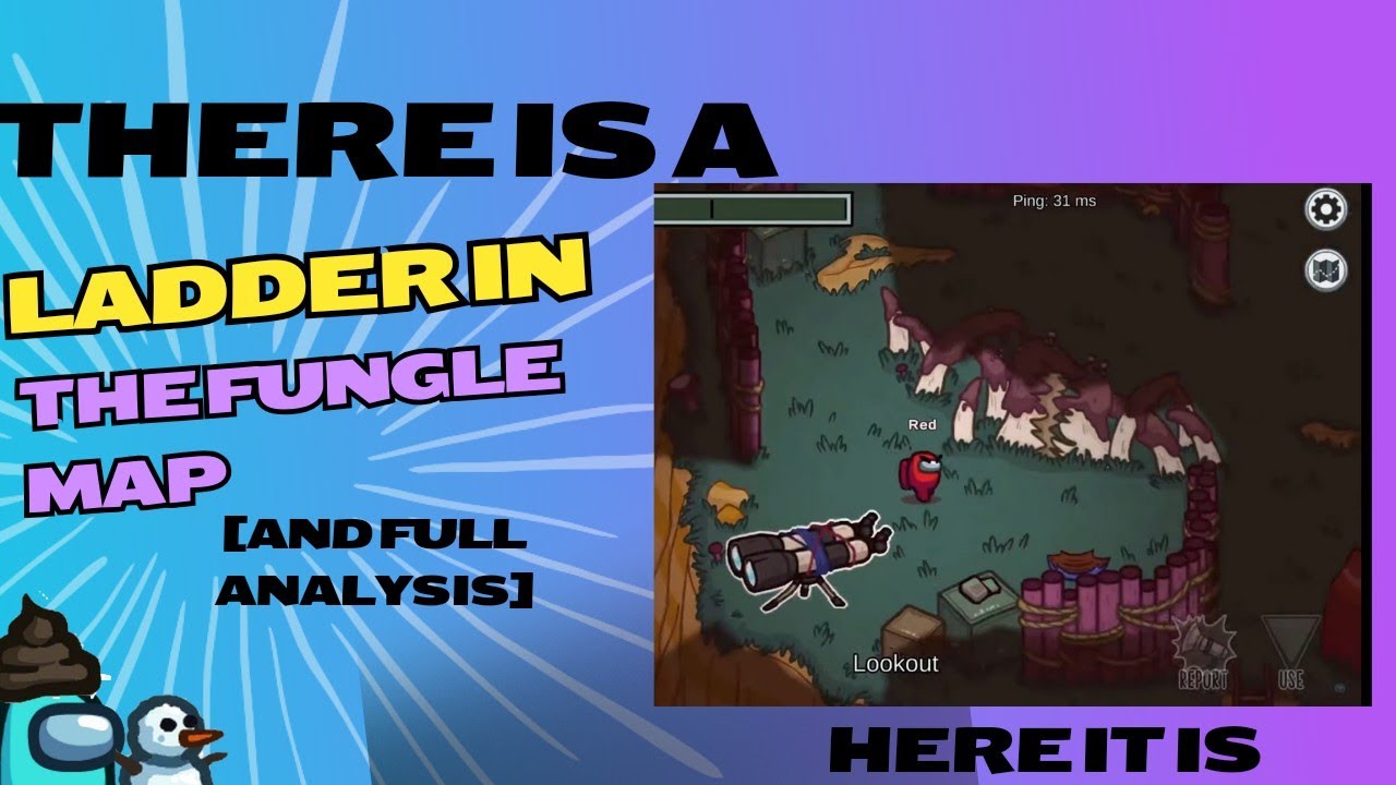 I Found a Ladder in The Fungle Map and Fungle Map Analysis - YouTube