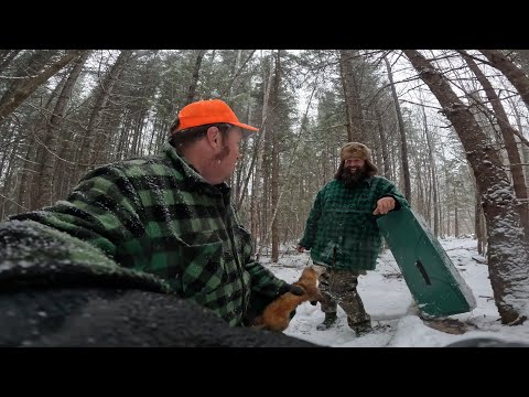 Epic Marten & Fisher Trapping Adventure Part 2  with @JoeHollandFishing in The North Maine Woods!