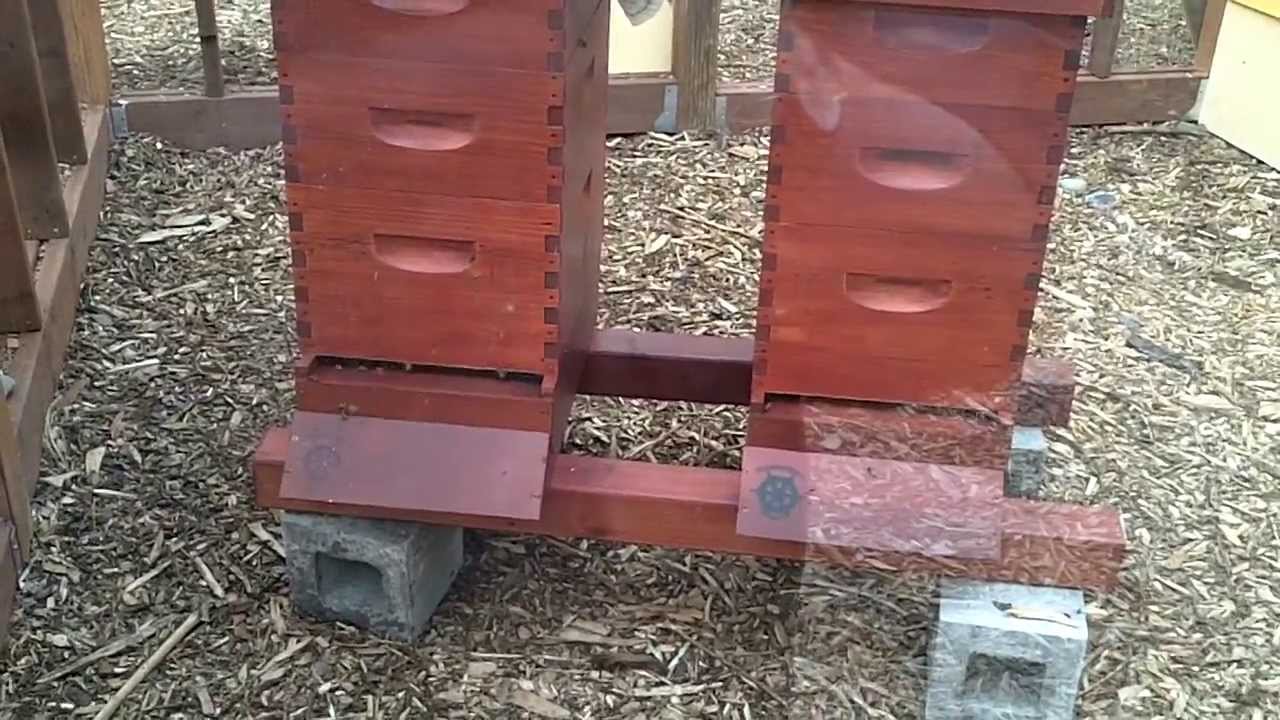 West Seattle Bee Garden - YouTube
