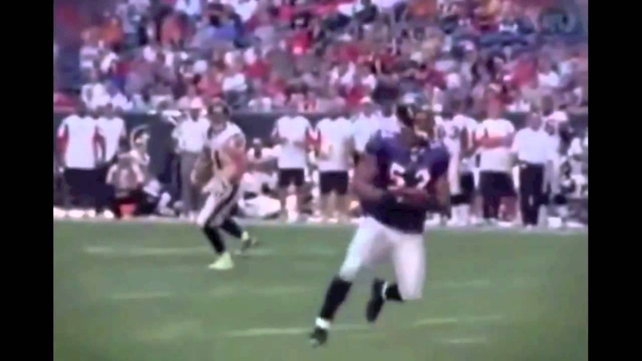 Ray Lewis Career Highlights (HD)-#52 - YouTube