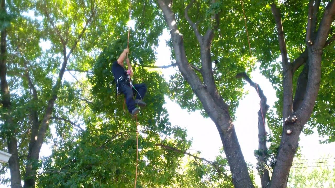 ROPE RUNNER ascent - descent - YouTube