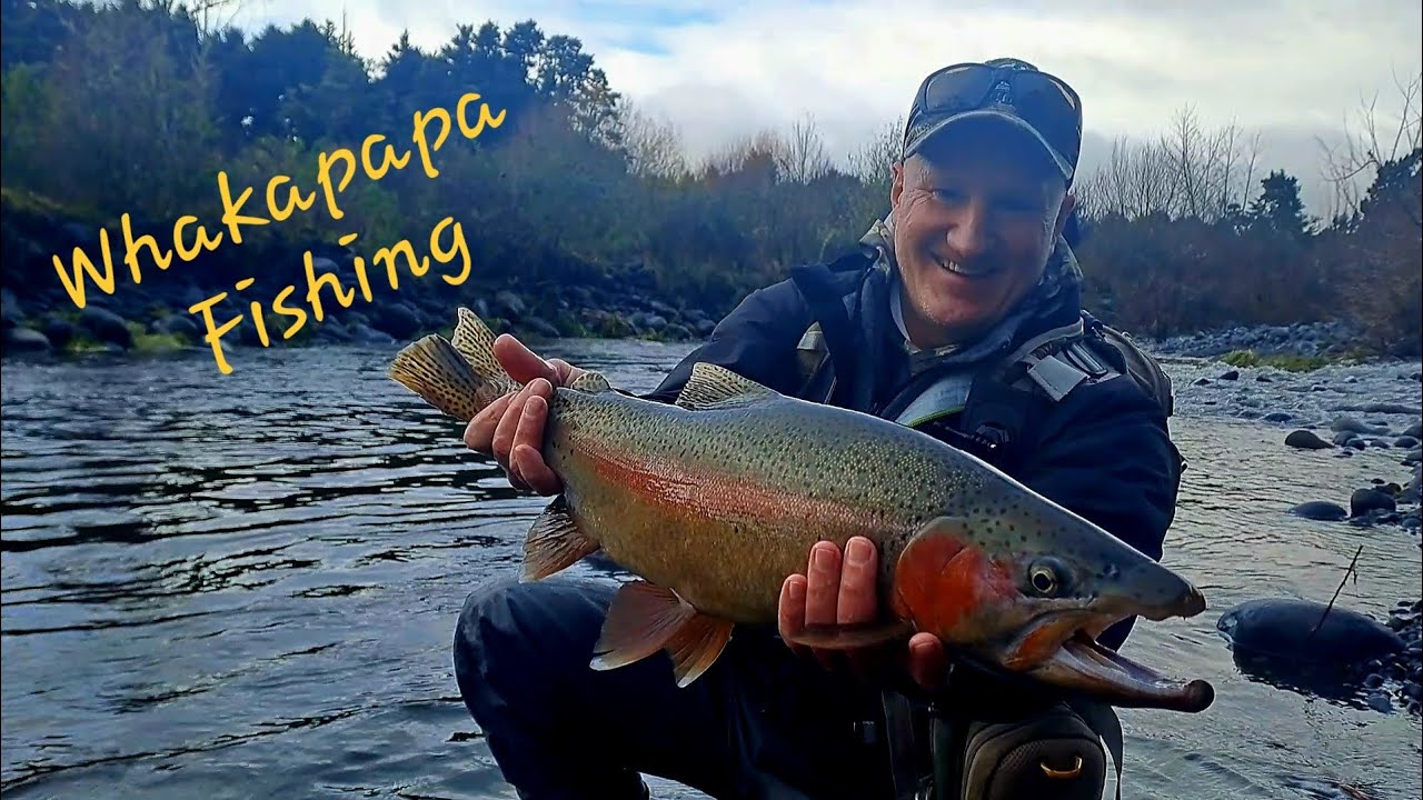 Whakapapa Fly Fishing - YouTube