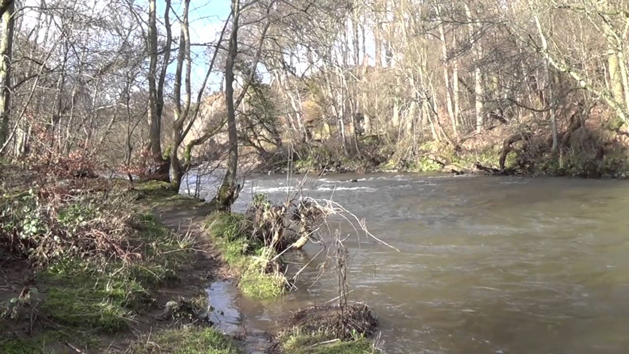 River Almond at Almondbank, Perth. - YouTube