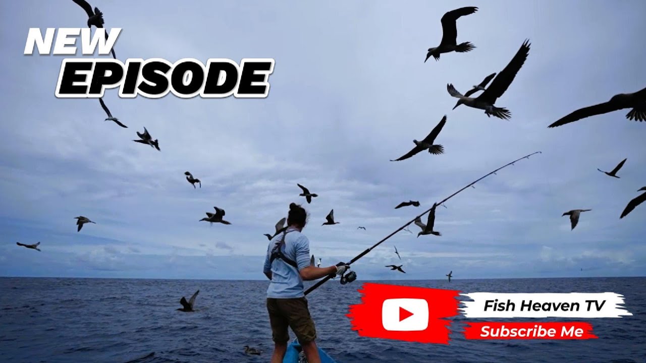 Teaser | Mancing Ikan Bobara Hitam Diganggu Bela | Full Episode ...