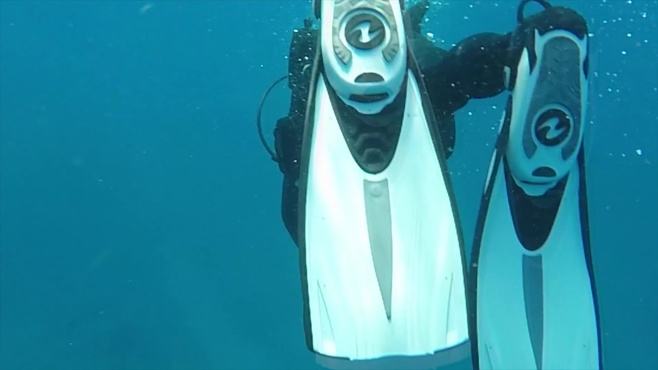 Scuba Diving in Islamorada Key. The Full Experience of Jumping off a ...