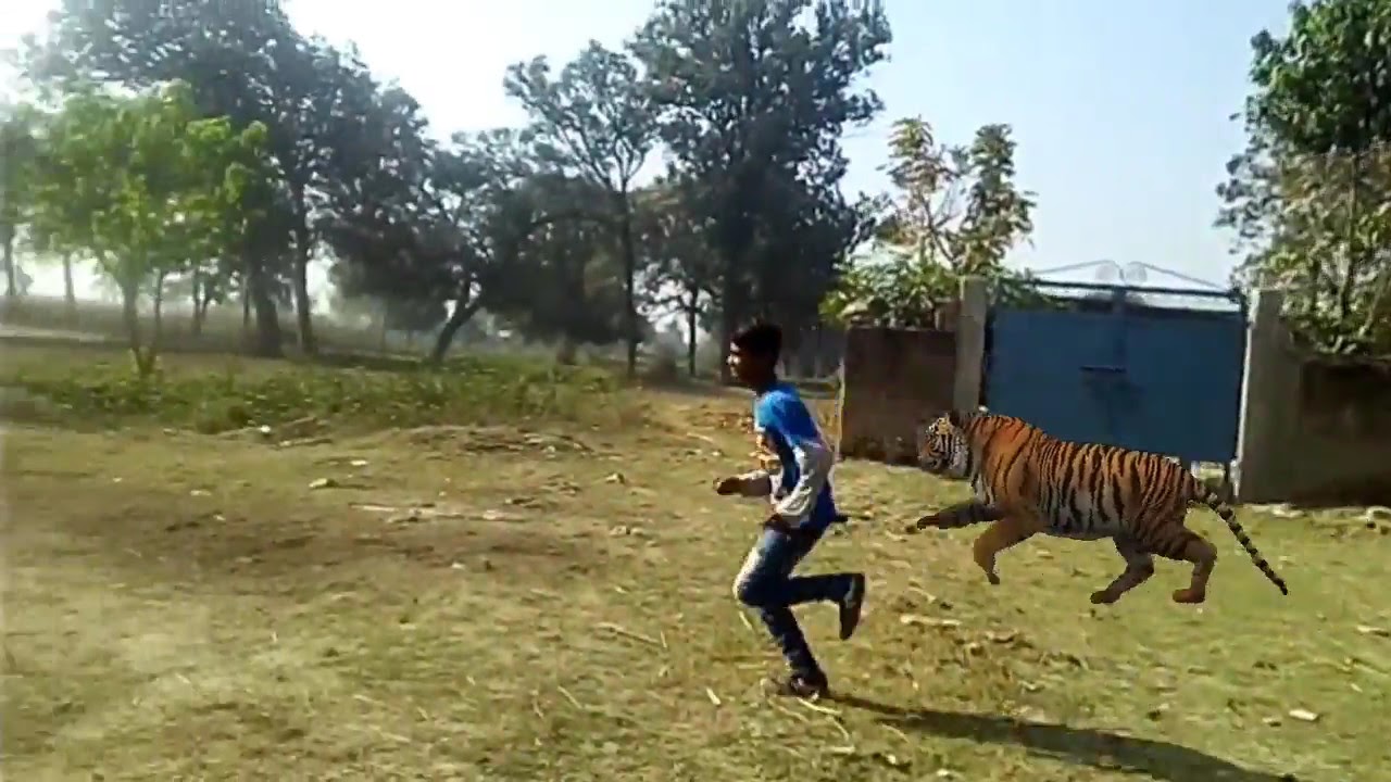 Taegar atek video #amazing - YouTube