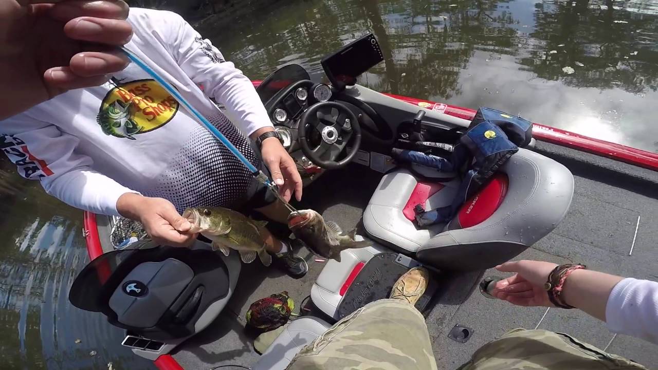 Bass Fishing Tournament 1st Place Win! Big Bass! - YouTube