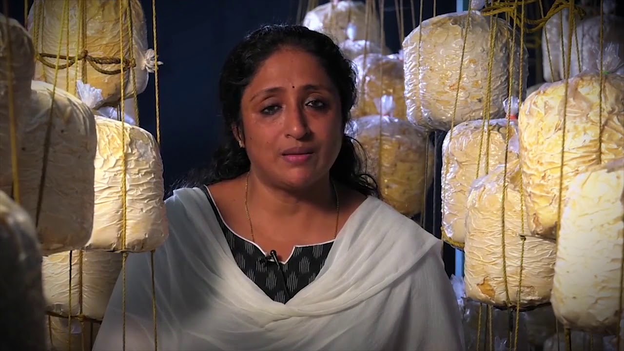 coon fresh: A progressive Cultivation - YouTube