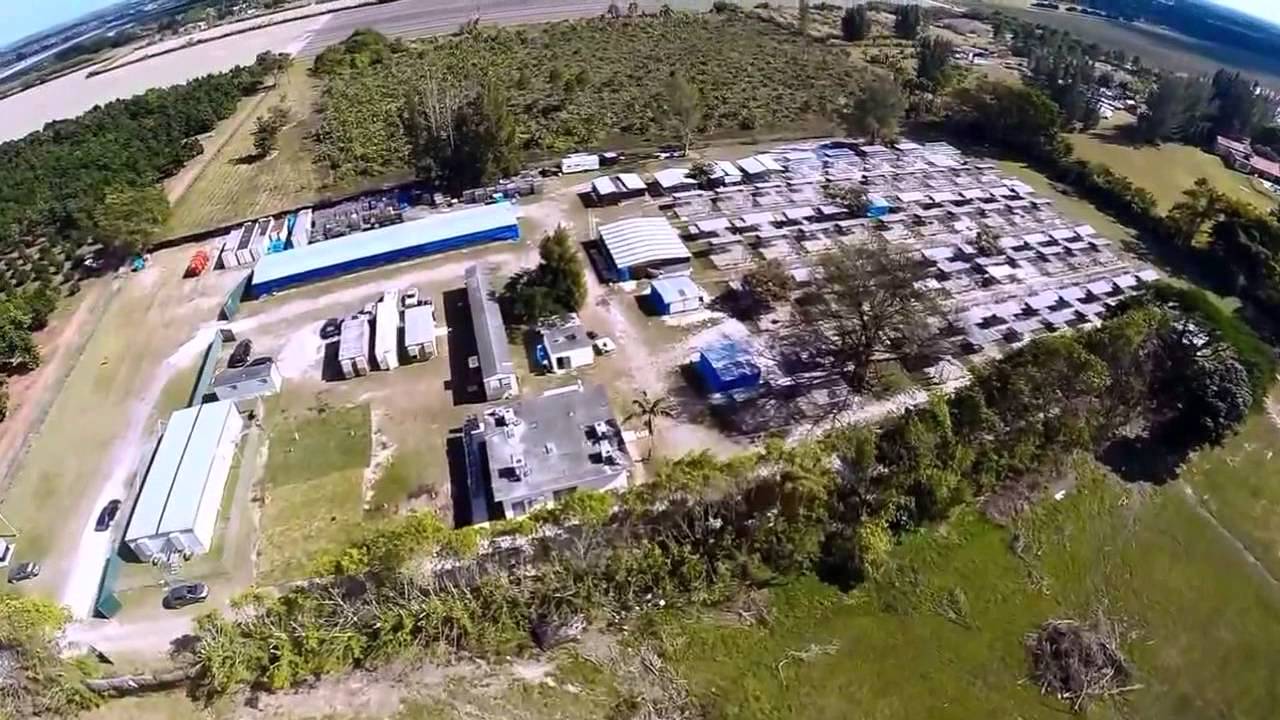 Birds-eye view of Worldwide Primates (Miami, FL) - YouTube