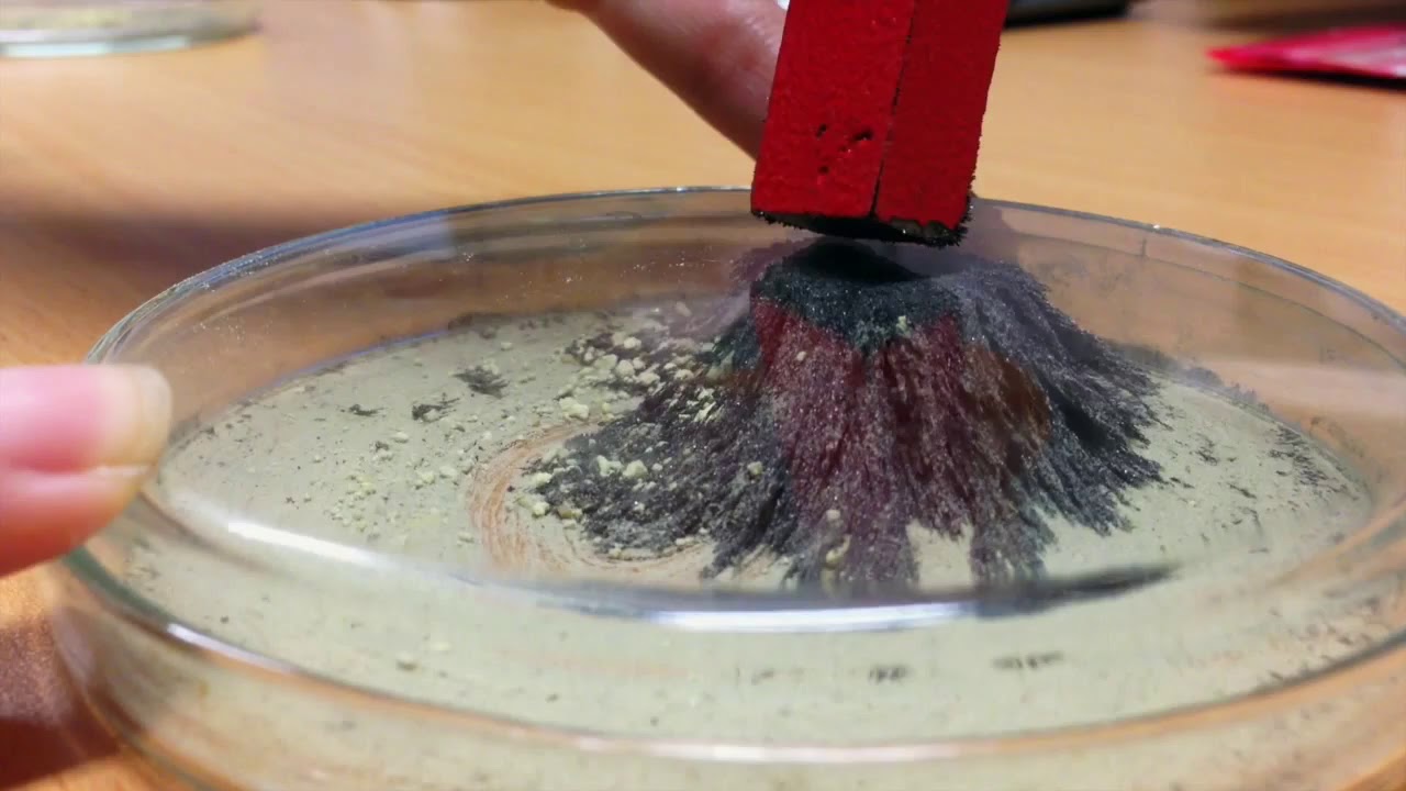 Magnetic Separation of Iron-sulfur mixture - YouTube