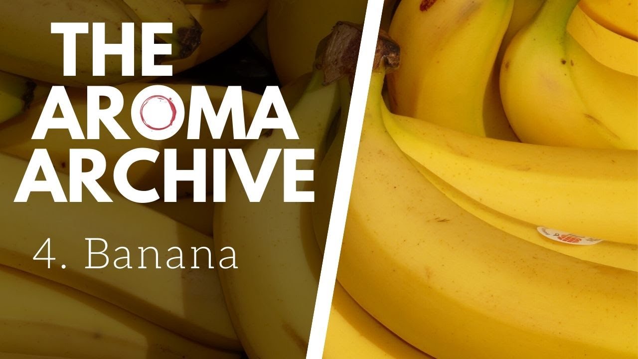The Smell of BANANA in Wine - The Aroma Archive Ep4 - Banana - YouTube