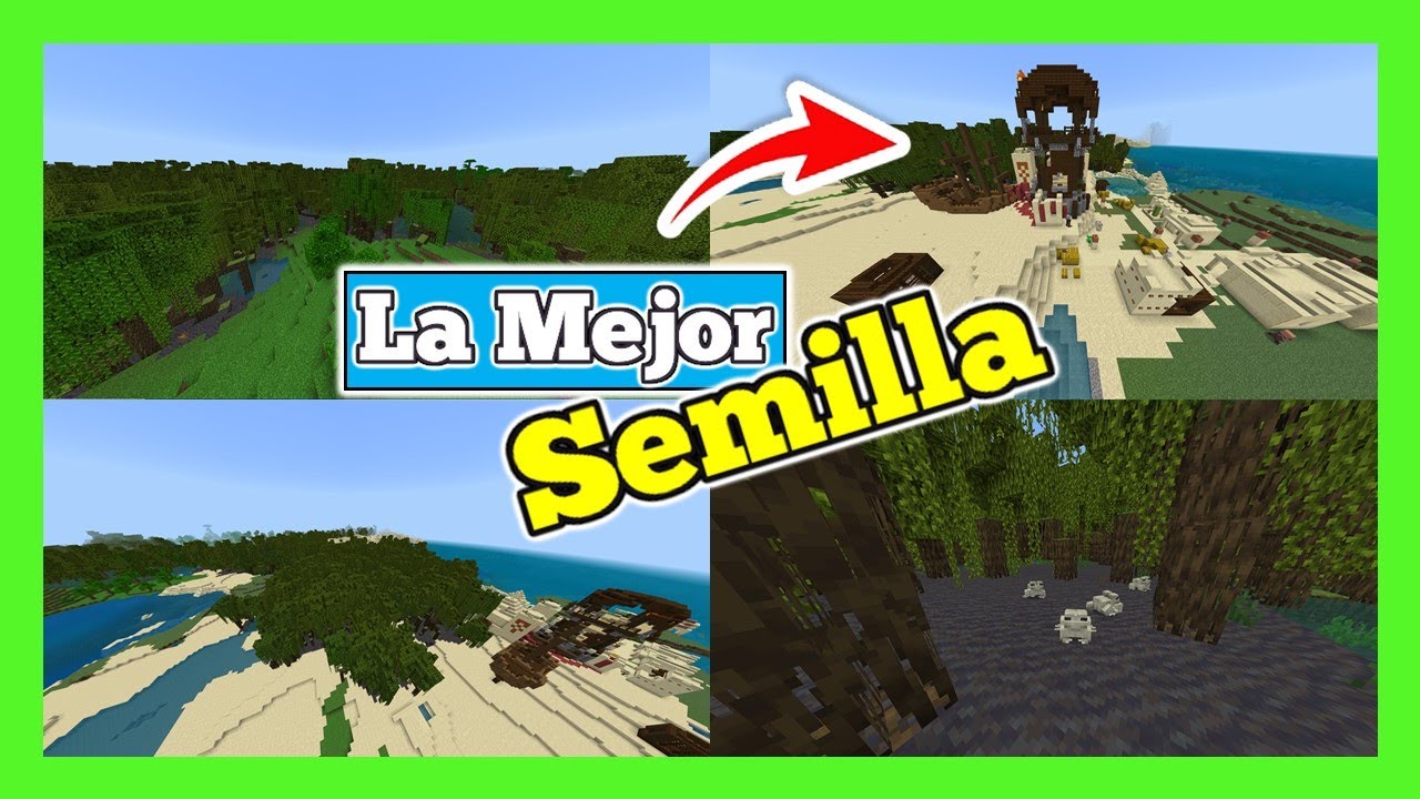 La MEJOR SEMILLA (Seed) de MINECRAFT PE 1.19 😱 MANGLAR en el SPAWN y ...