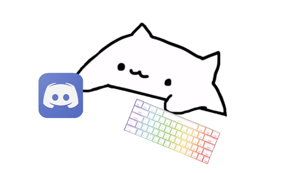 Tuto Pour Mettre le Bongo Cat sur son live+ Présentation du Serveur ...
