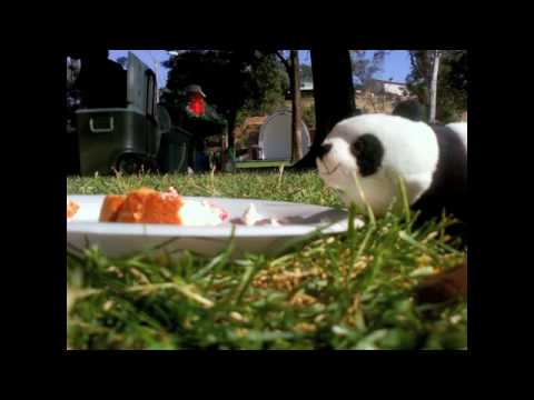 The Amazing Panda Adventure - YouTube