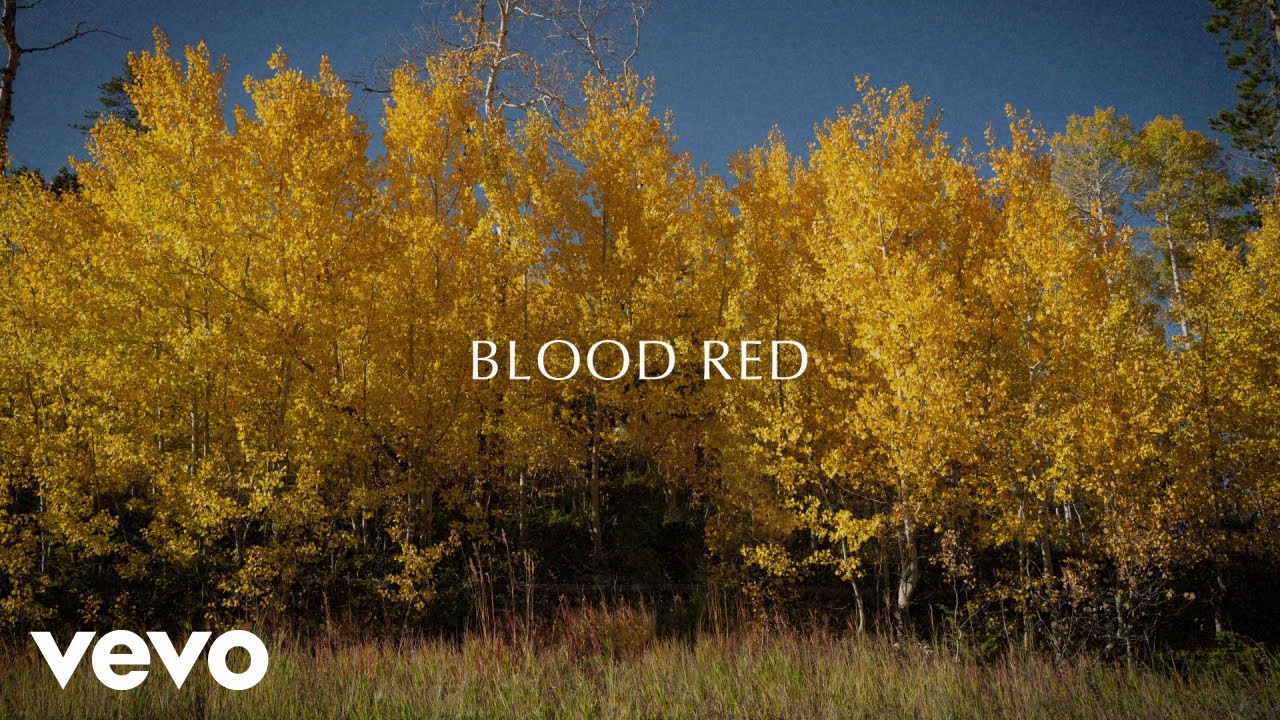 Darren Kiely - Blood Red (Official Lyric Video) - YouTube