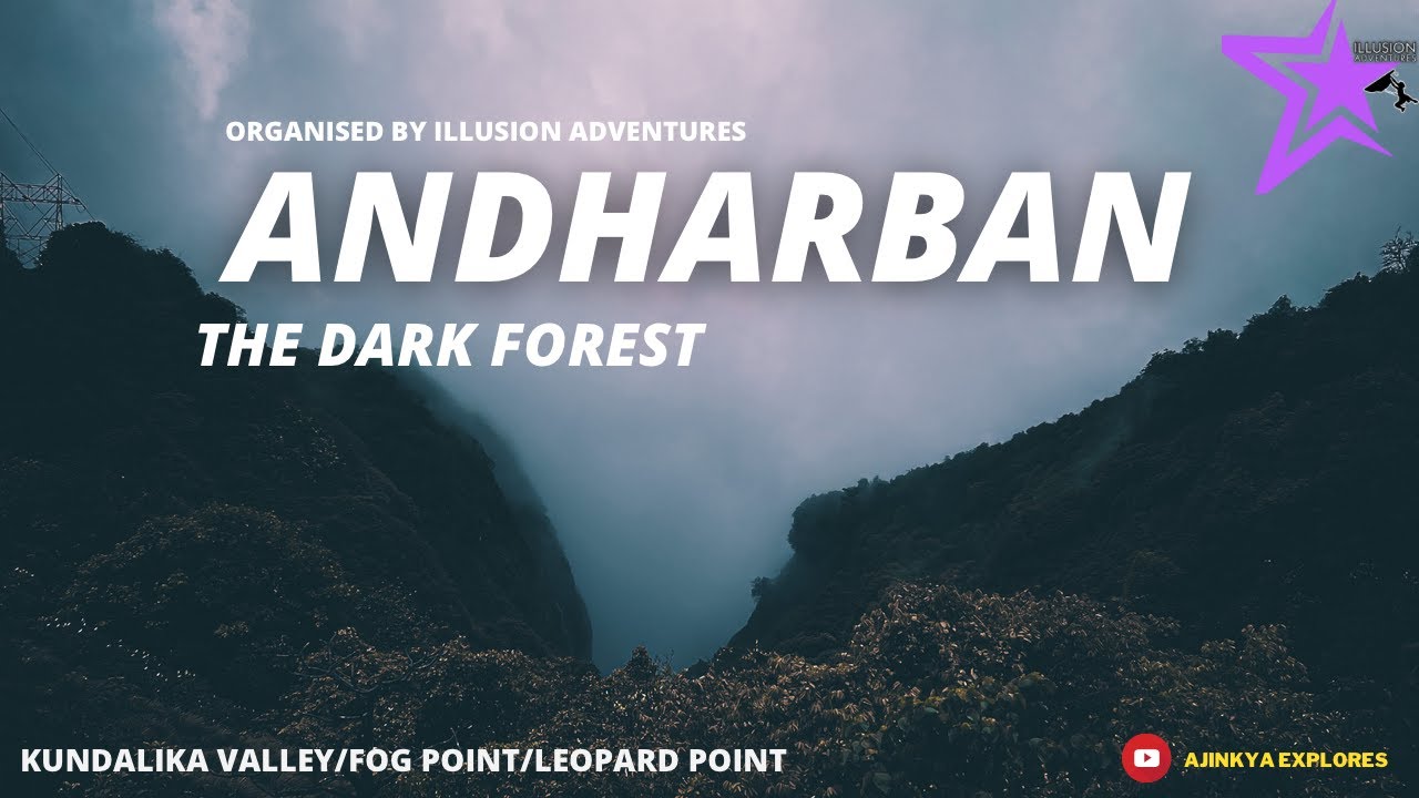 Andharban - The dense forest of Maharashtra | Dark Jungle Trek ...