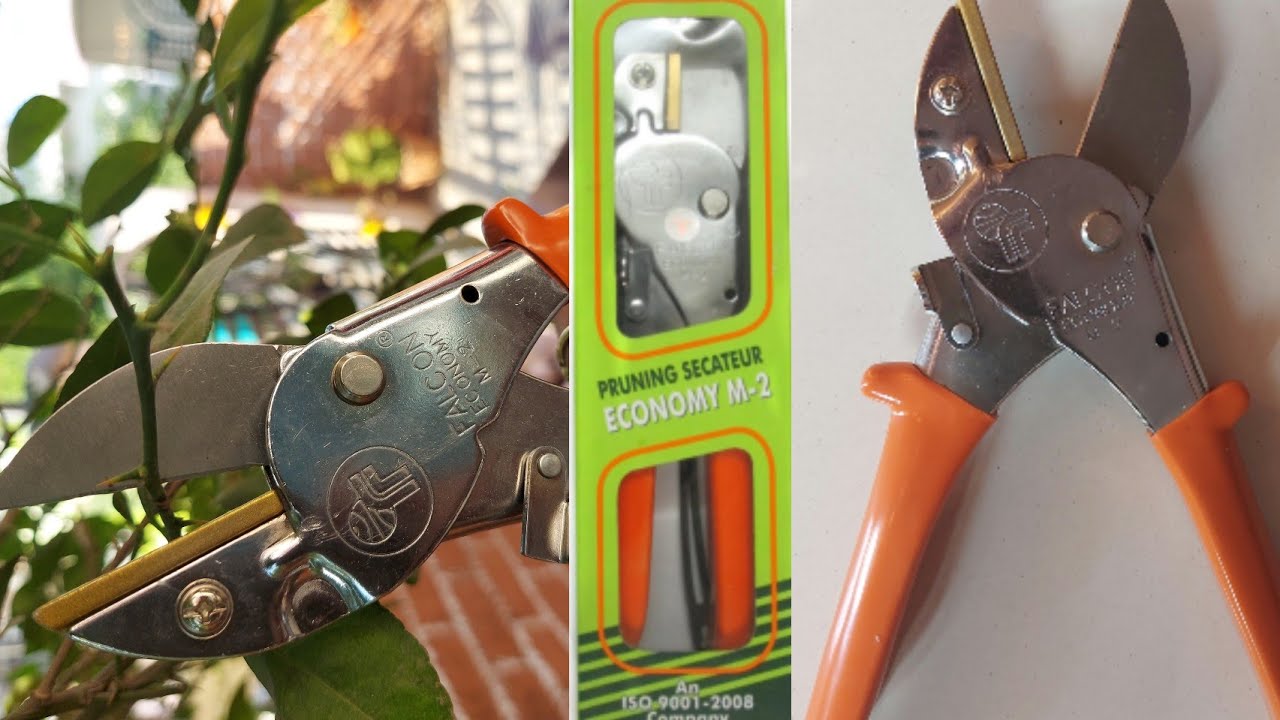 Falcon Pruning secateur # garden tools - YouTube