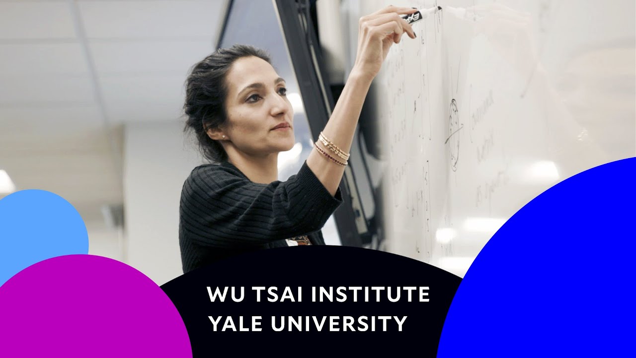 To Know, Together: Introducing the Wu Tsai Institute at Yale - YouTube