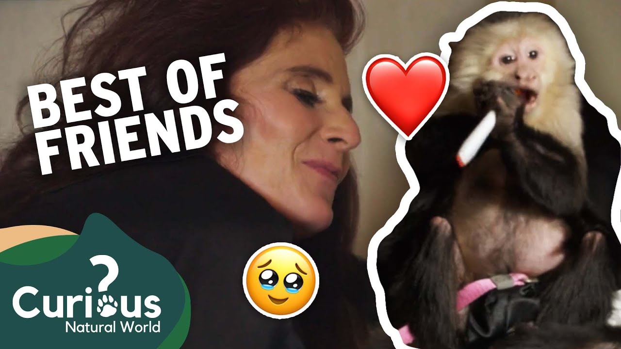 Getting Up Close And Personal With A MONKEY WHISPERER! 😱🐒 | Predator ...