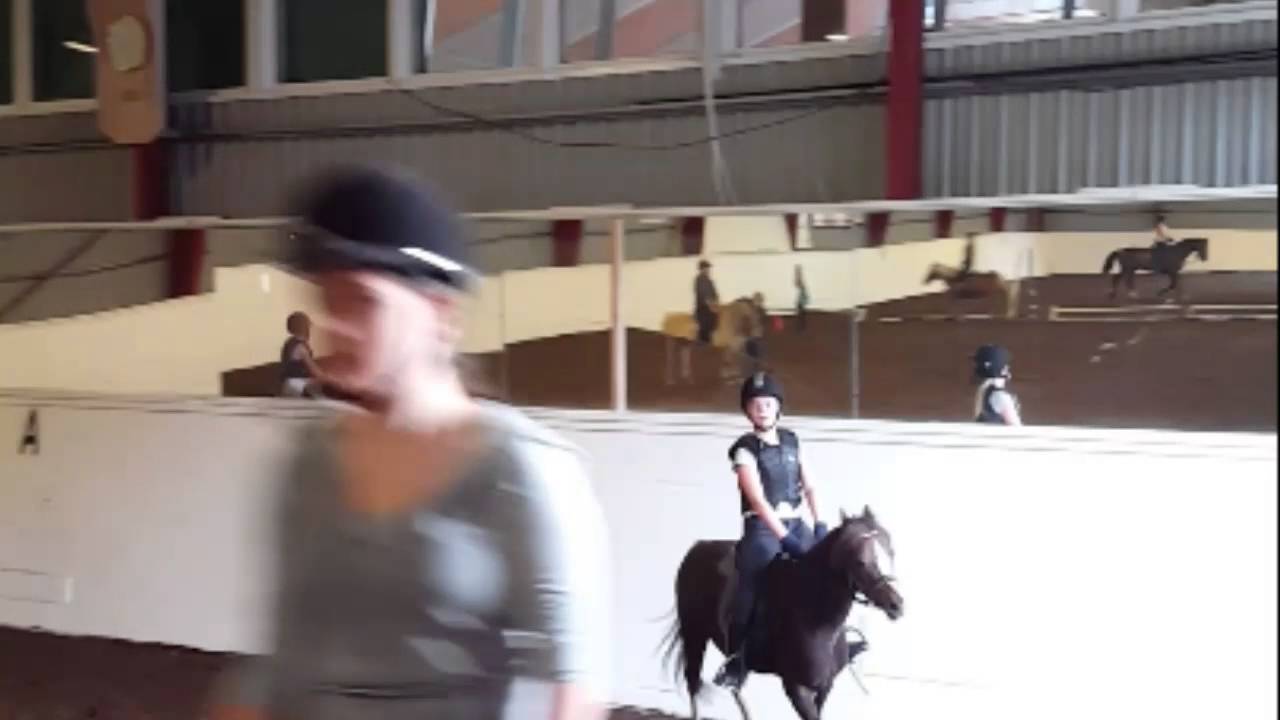 An Amazing Riding Lesson!|Daisy Stalls| - YouTube