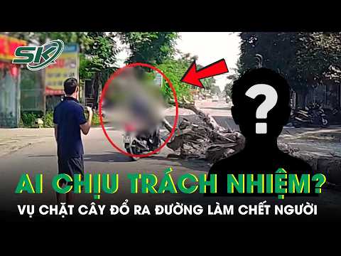 Vụ chặt cây đổ ra đường khiến người đi xe máy tử vong, ai phải chịu trách nhiệm? | SKĐS