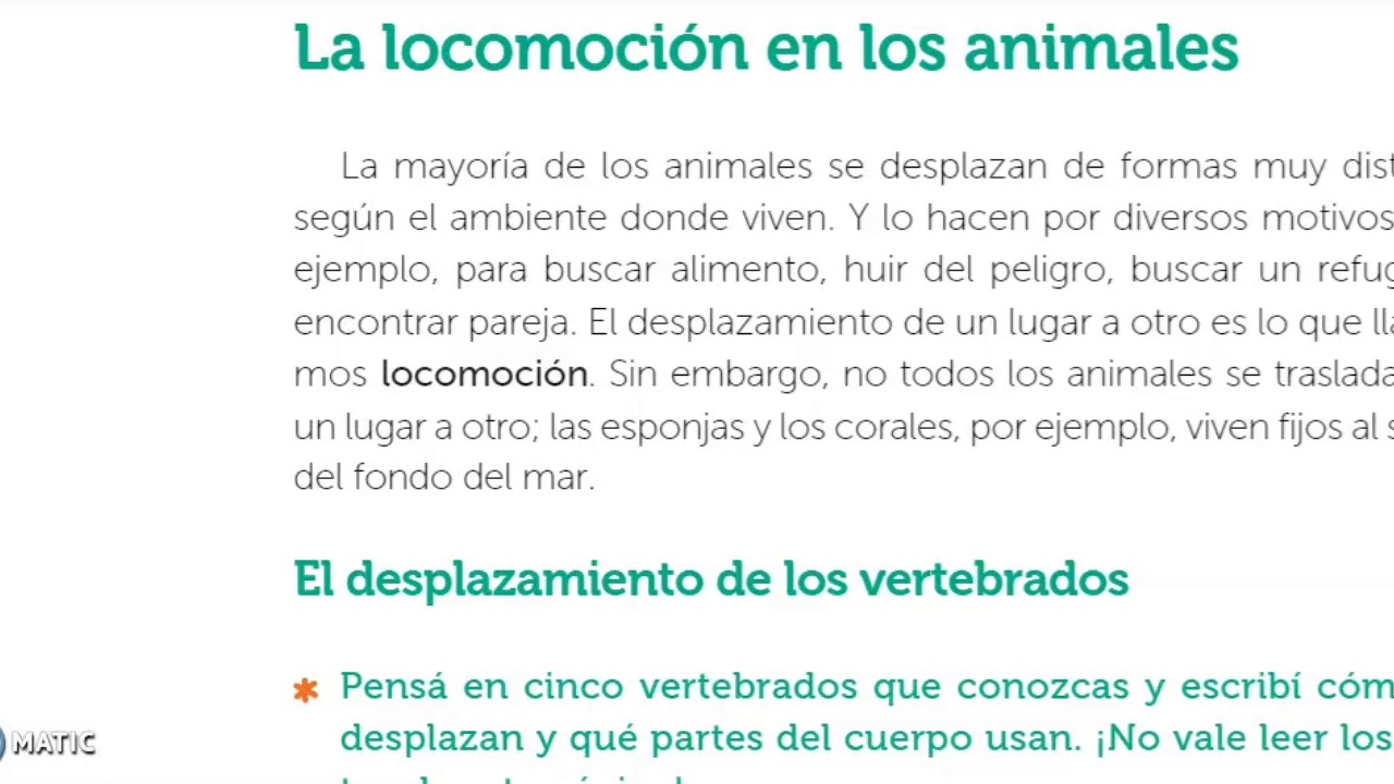 Locomoción en animales - YouTube