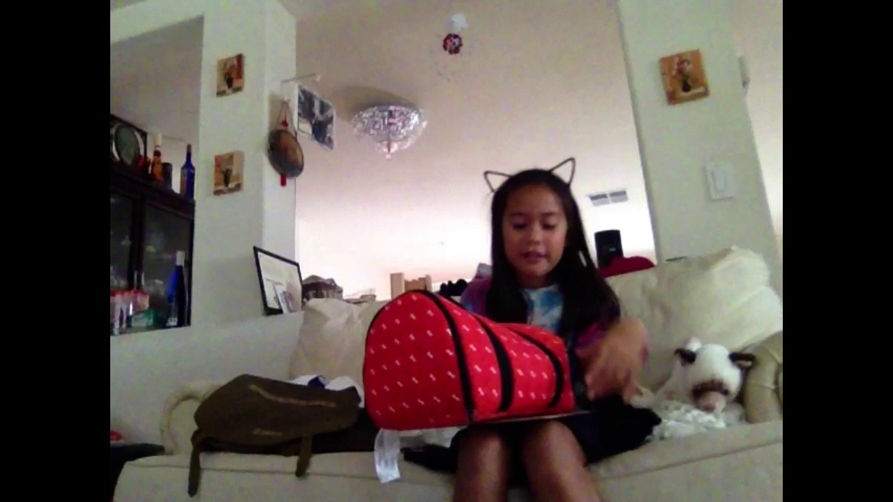 Early Morning Quirk Show-Cat Edition - YouTube