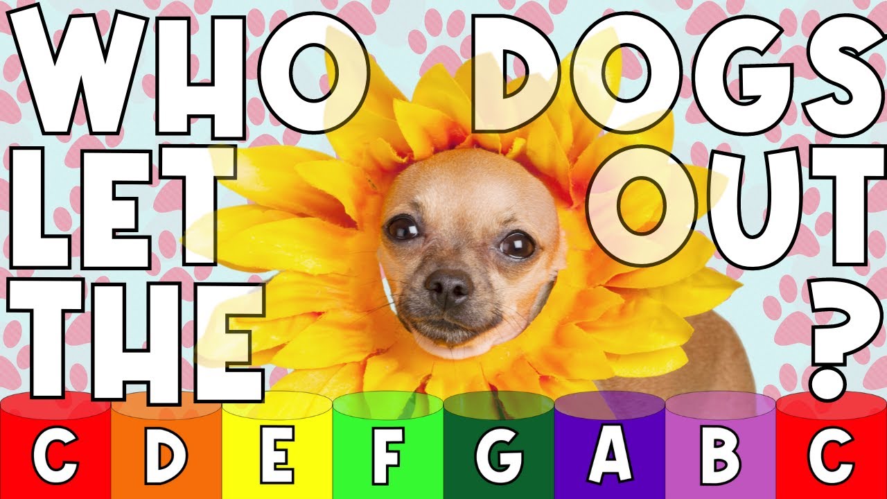 Who Let the Dogs Out | Boomwhacker Playalong - YouTube Music