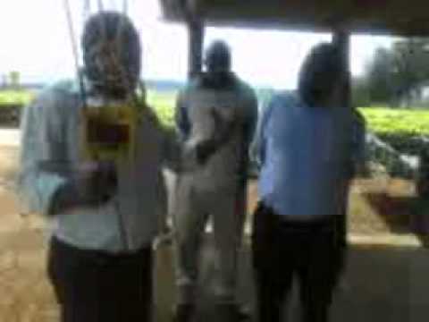 KTGA - James Finlay Tea Weighing Technology - YouTube