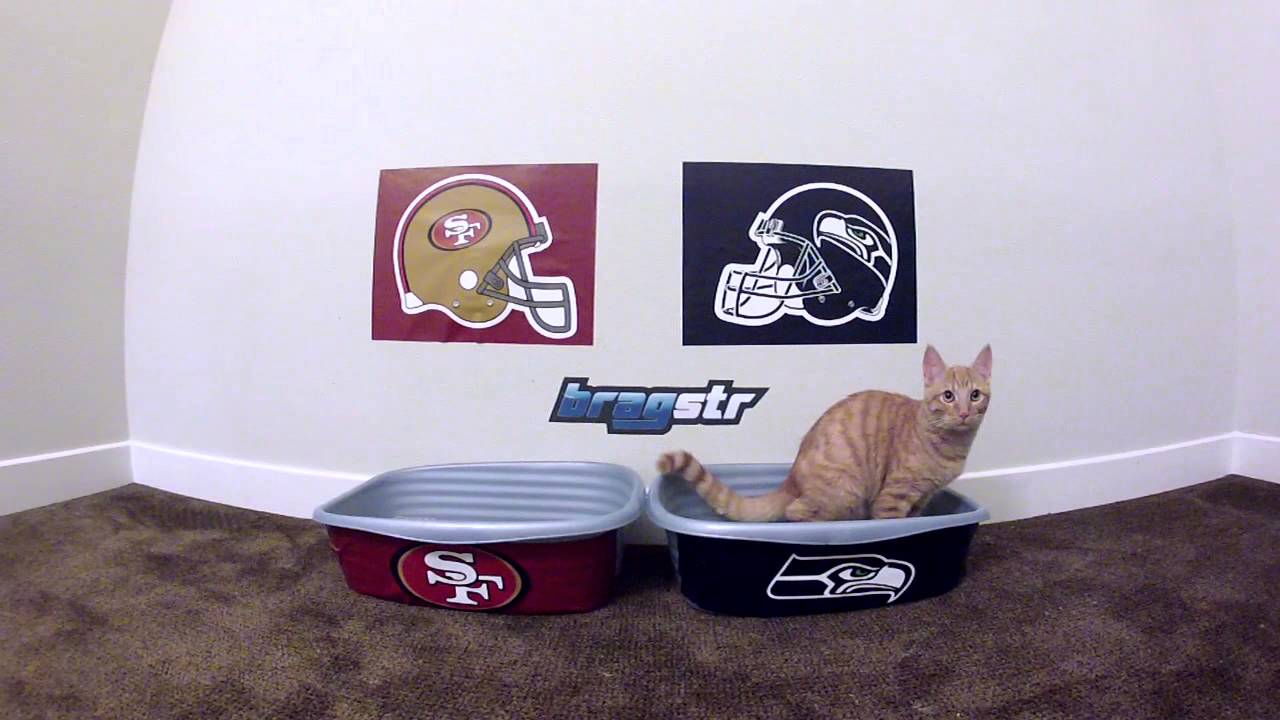 Bragstr Poops for Picks: NFL 2012 Week 16 San Francisco 49ers vs ...
