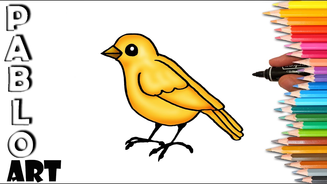 How to draw Yellow bird | Learn to Draw step by step - YouTube