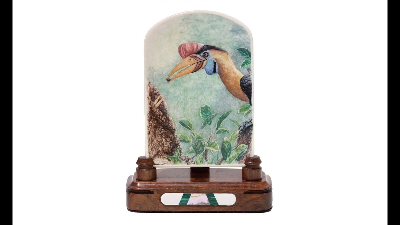 "Hornbill" Scrimshaw by Gary Dorning - Scrimshaw Gallery - YouTube