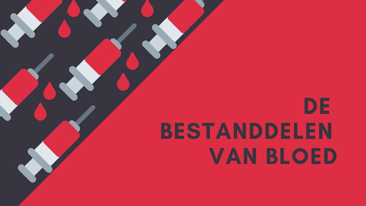 Witte bloedcellen, rode bloedcellen en bloedplaatjes - YouTube
