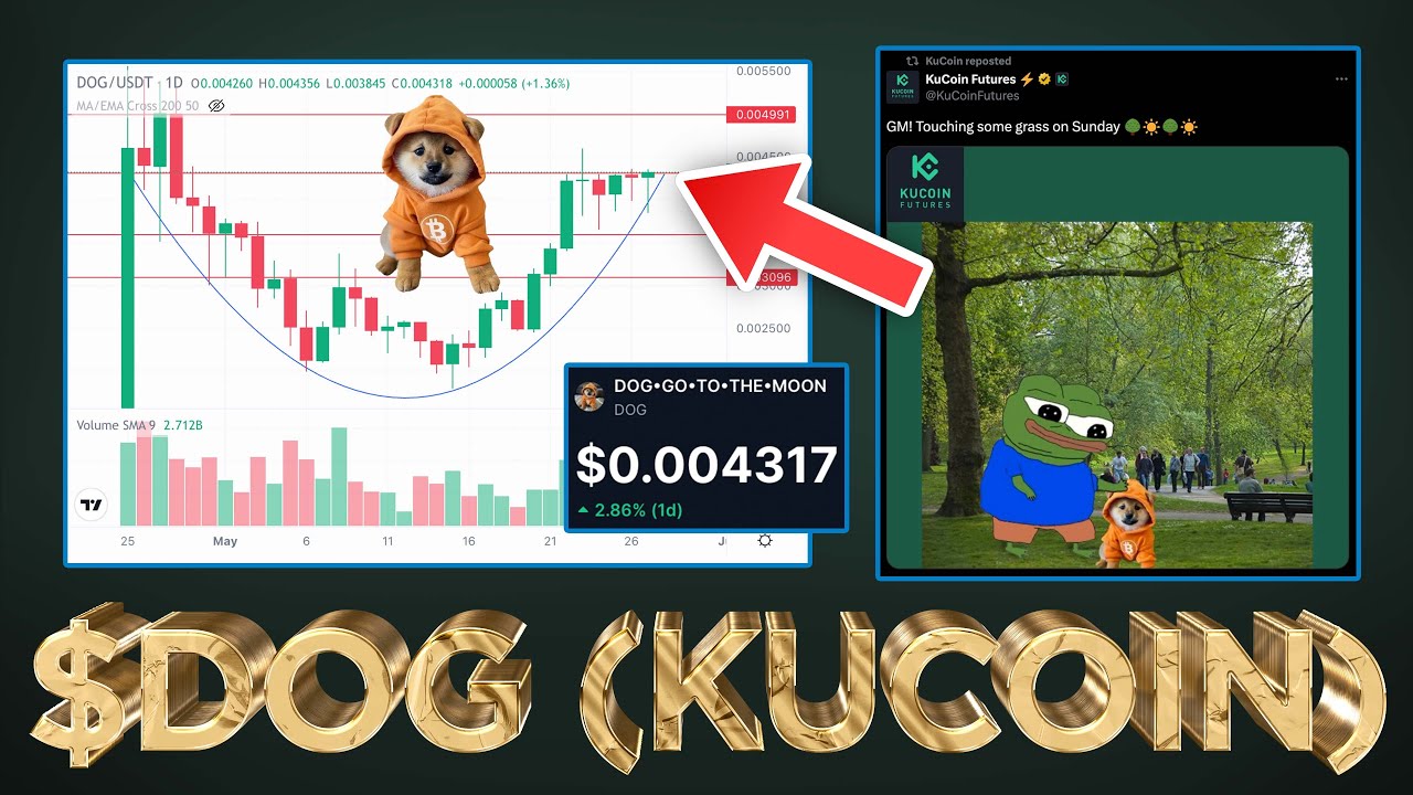 $DOG Tier 1 Listing (KUCOIN) 🎉🎉 $0.0050 Target 🎯 - YouTube