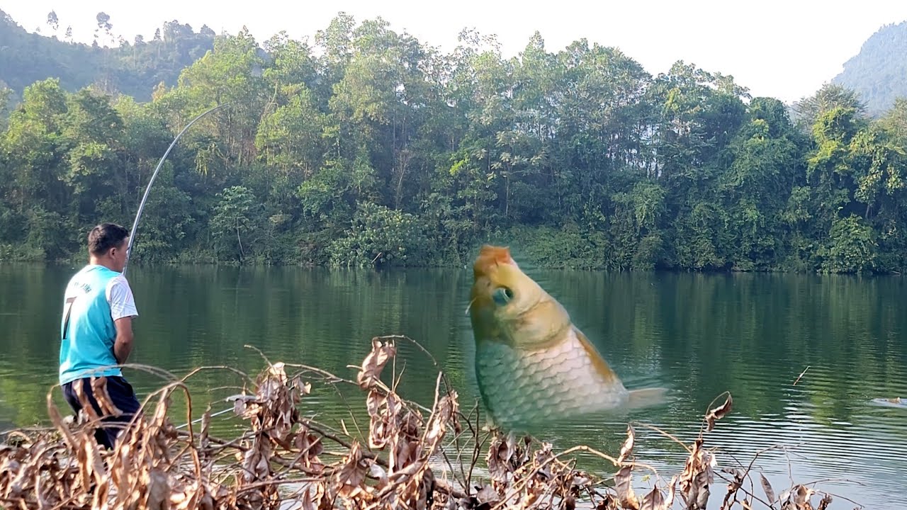 Fishing in the lake can catch super big fish. - YouTube